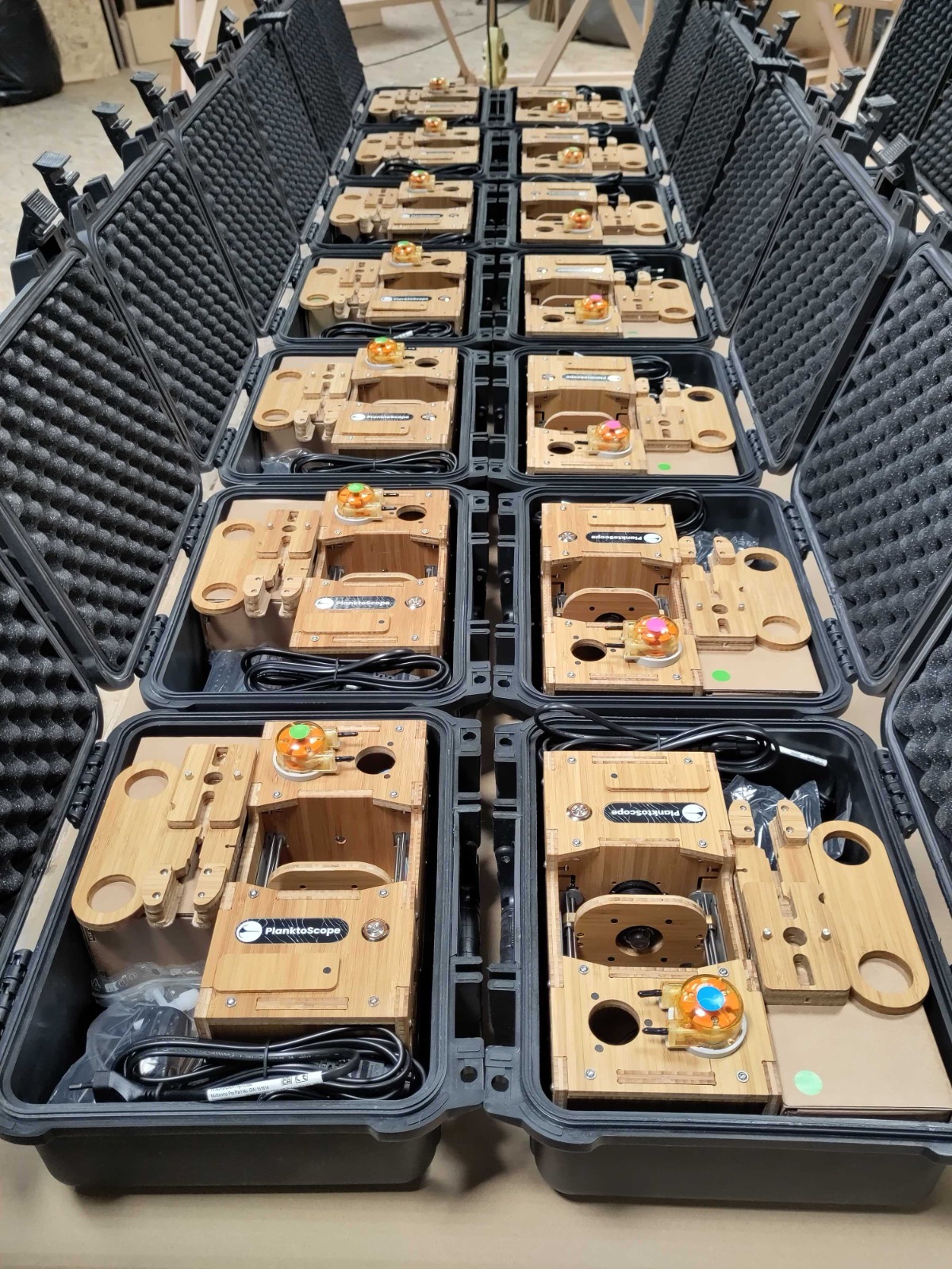 Building a community of seatizens – BIOcean5D