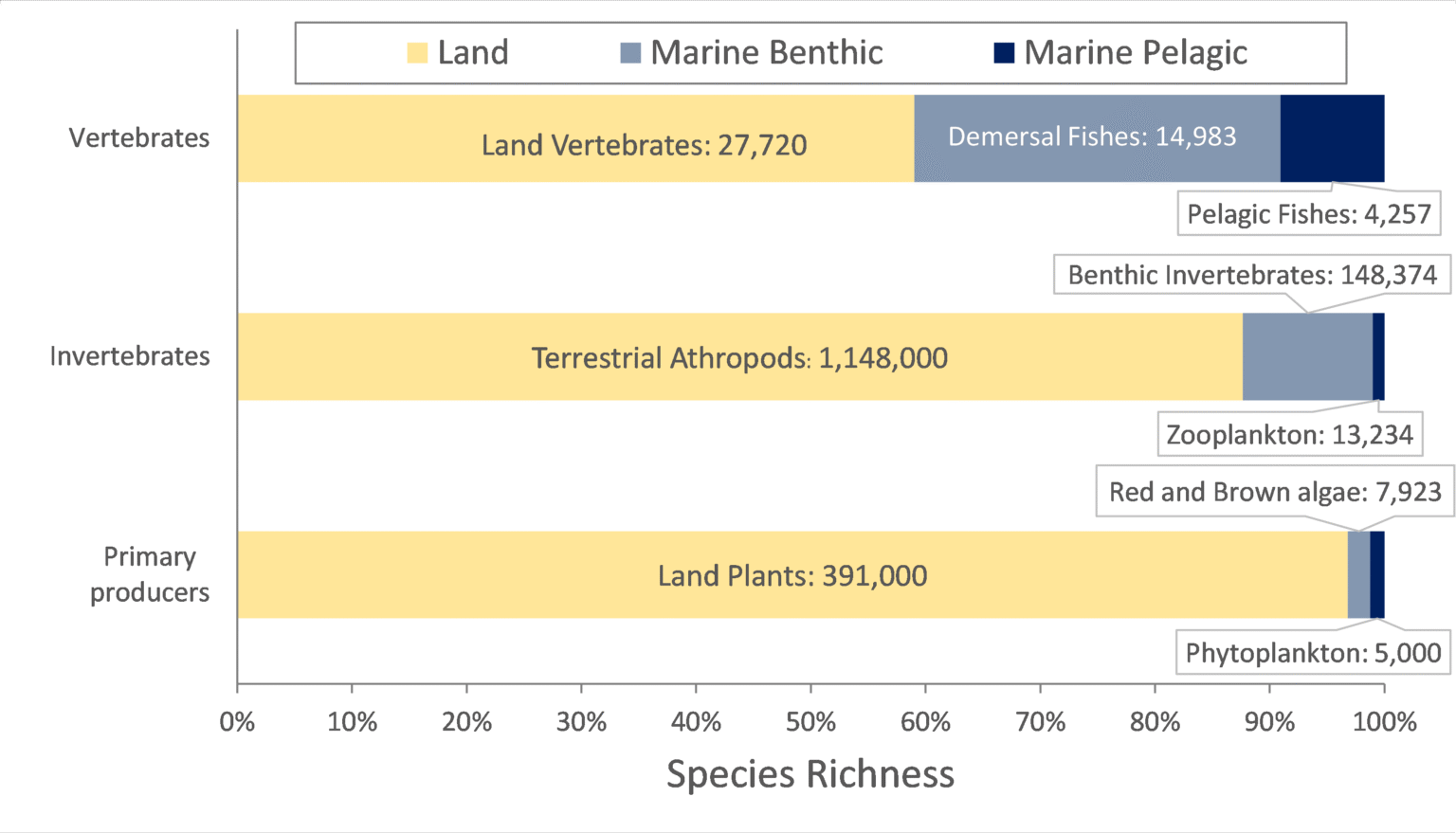 The diversity conundrum: Why do oceans shelter fewer species than land ...